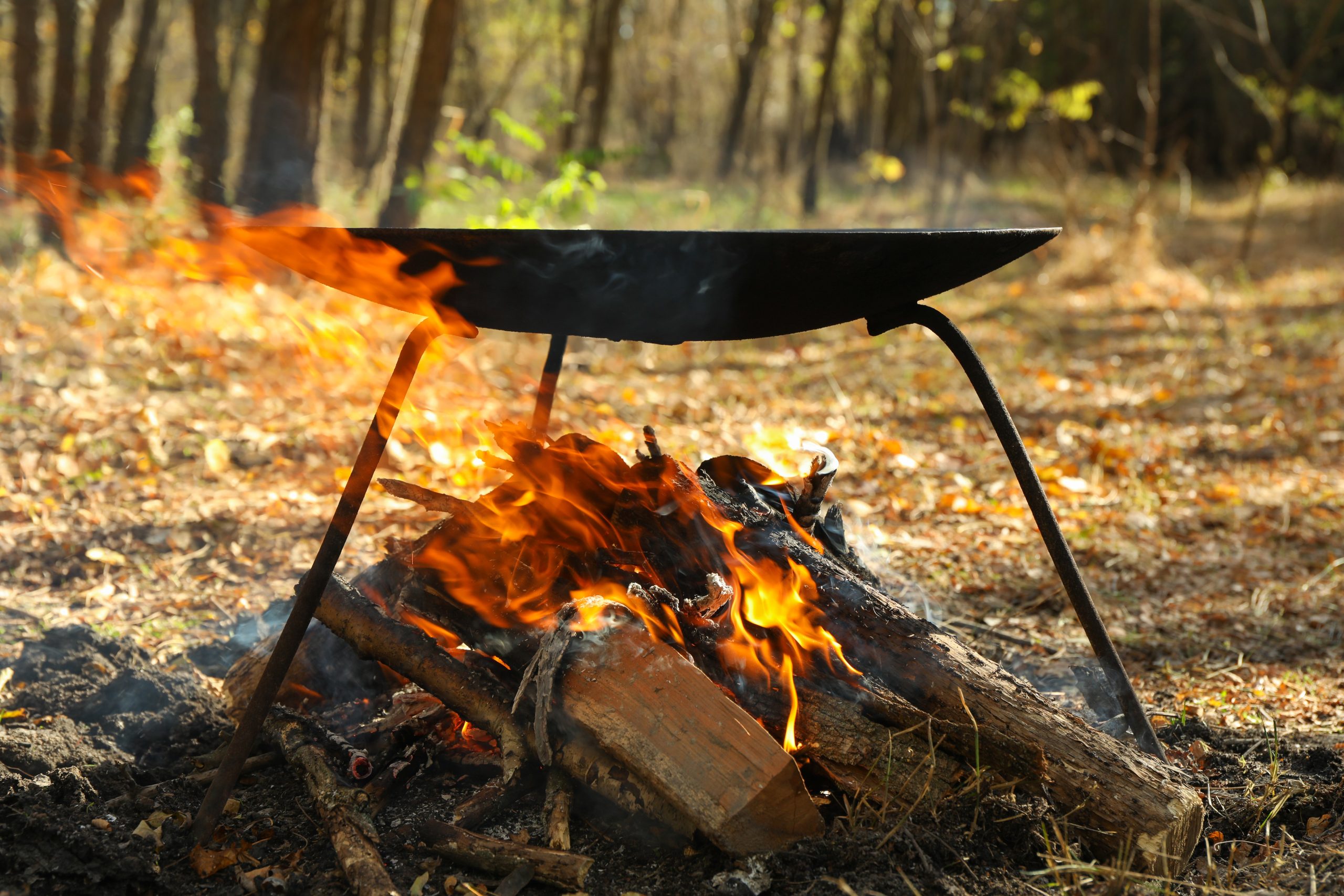 Brasero barbecue plancha : Guide d'achat des marques